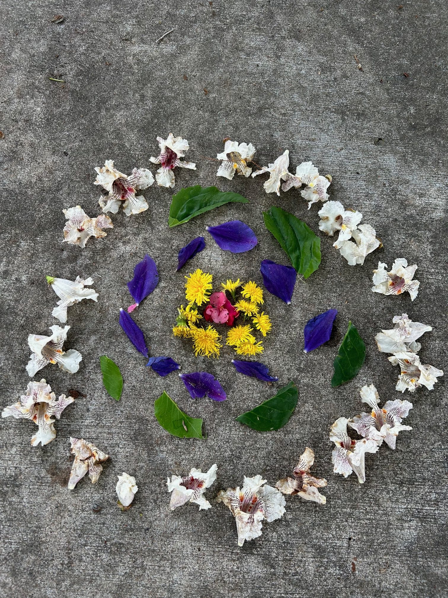 Beyond the message of culture – Pam Grout