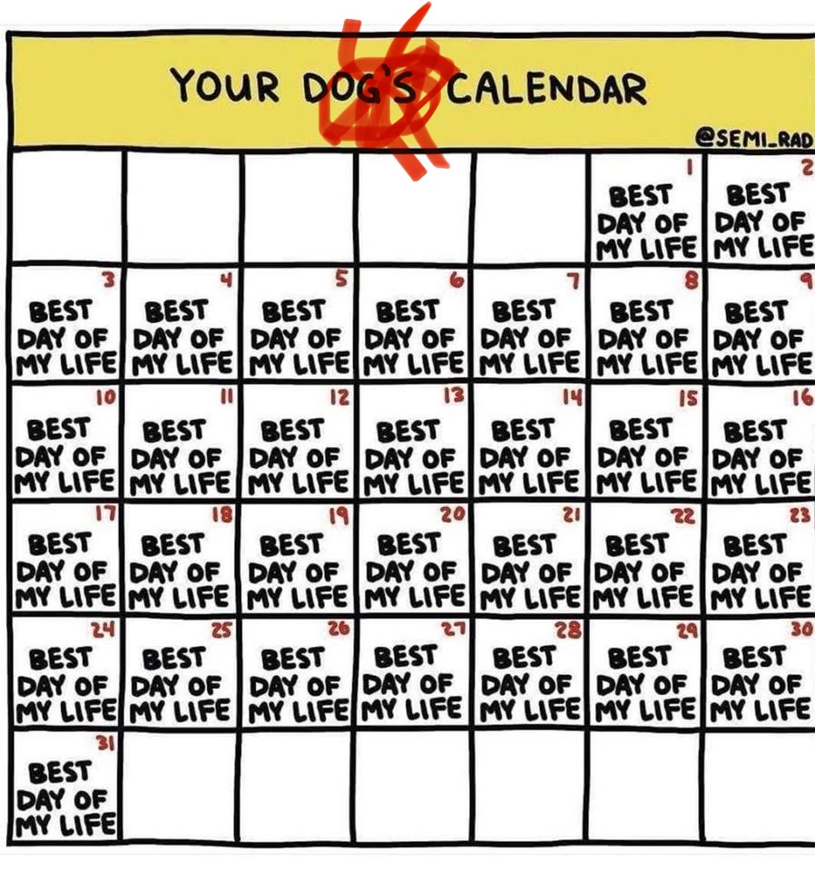 What a relief!! – Pam Grout